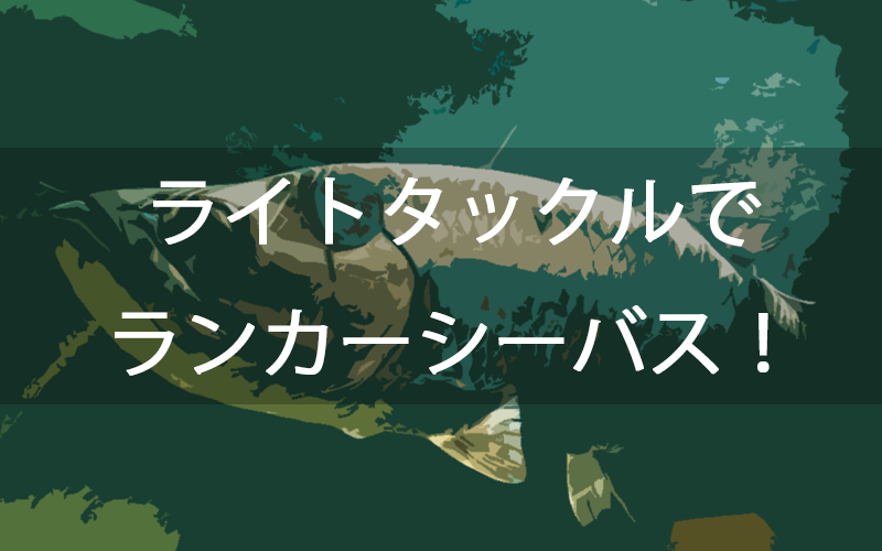 ライトタックルでランカーシーバスが狙えるギリギリのスペックを考える！ | おかっぱりライトゲームの世界